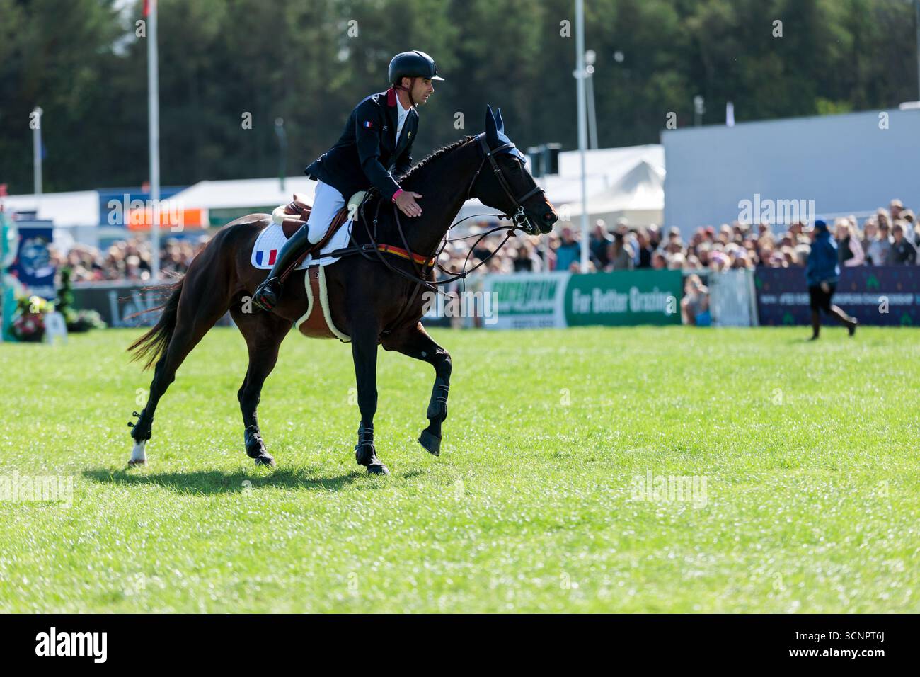 Astier Nicolas of France riding Alertamalib'or during the showjumping ...