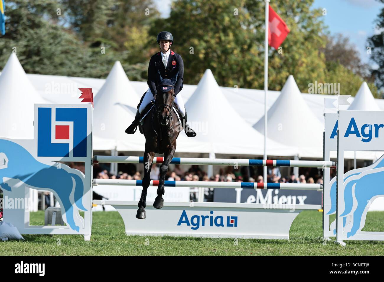 Tom Mcewen of Great Britain riding Jl Dublin during the showjumping at ...