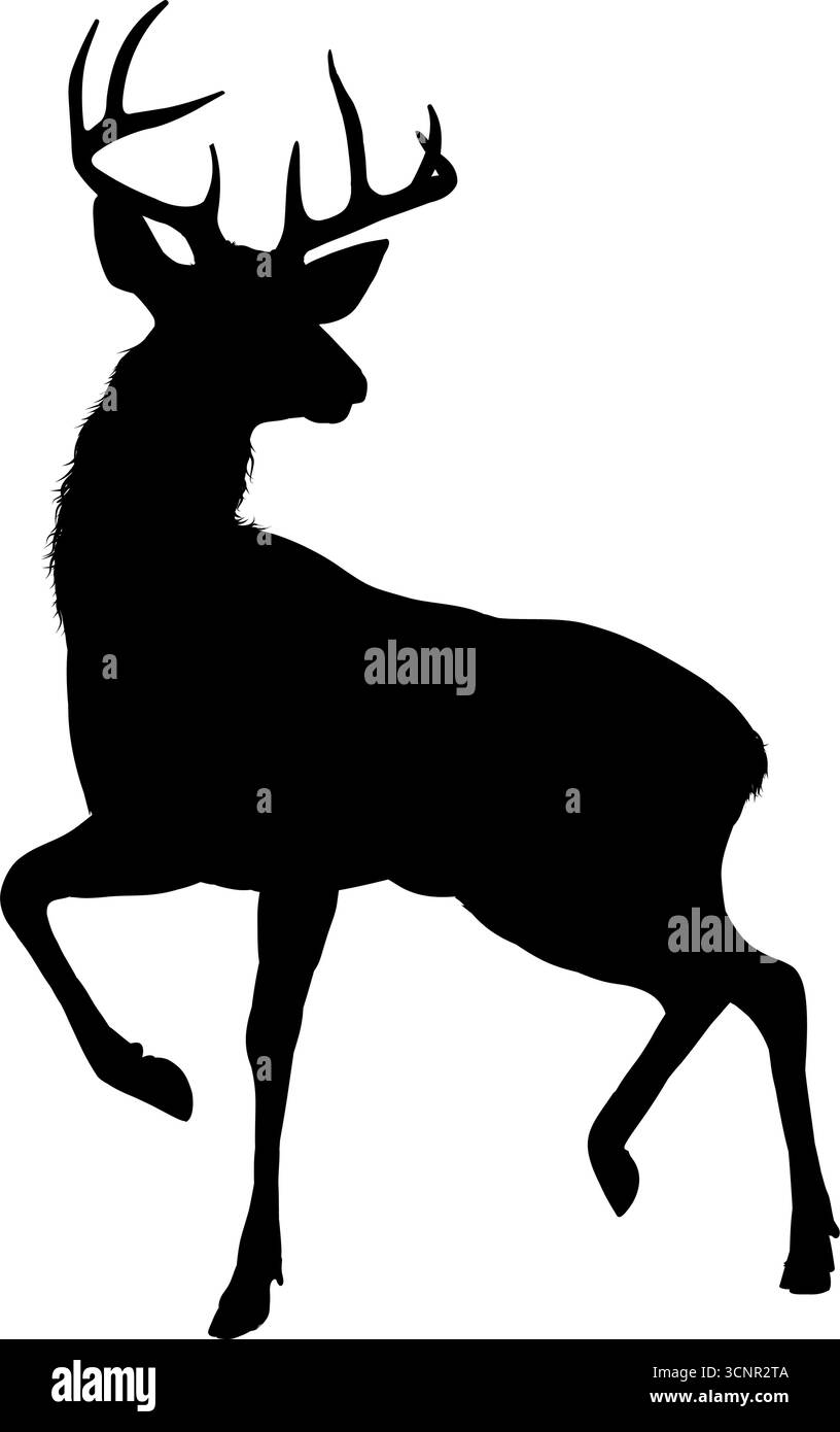 Majestic red deer stag Cut Out Stock Images & Pictures - Alamy