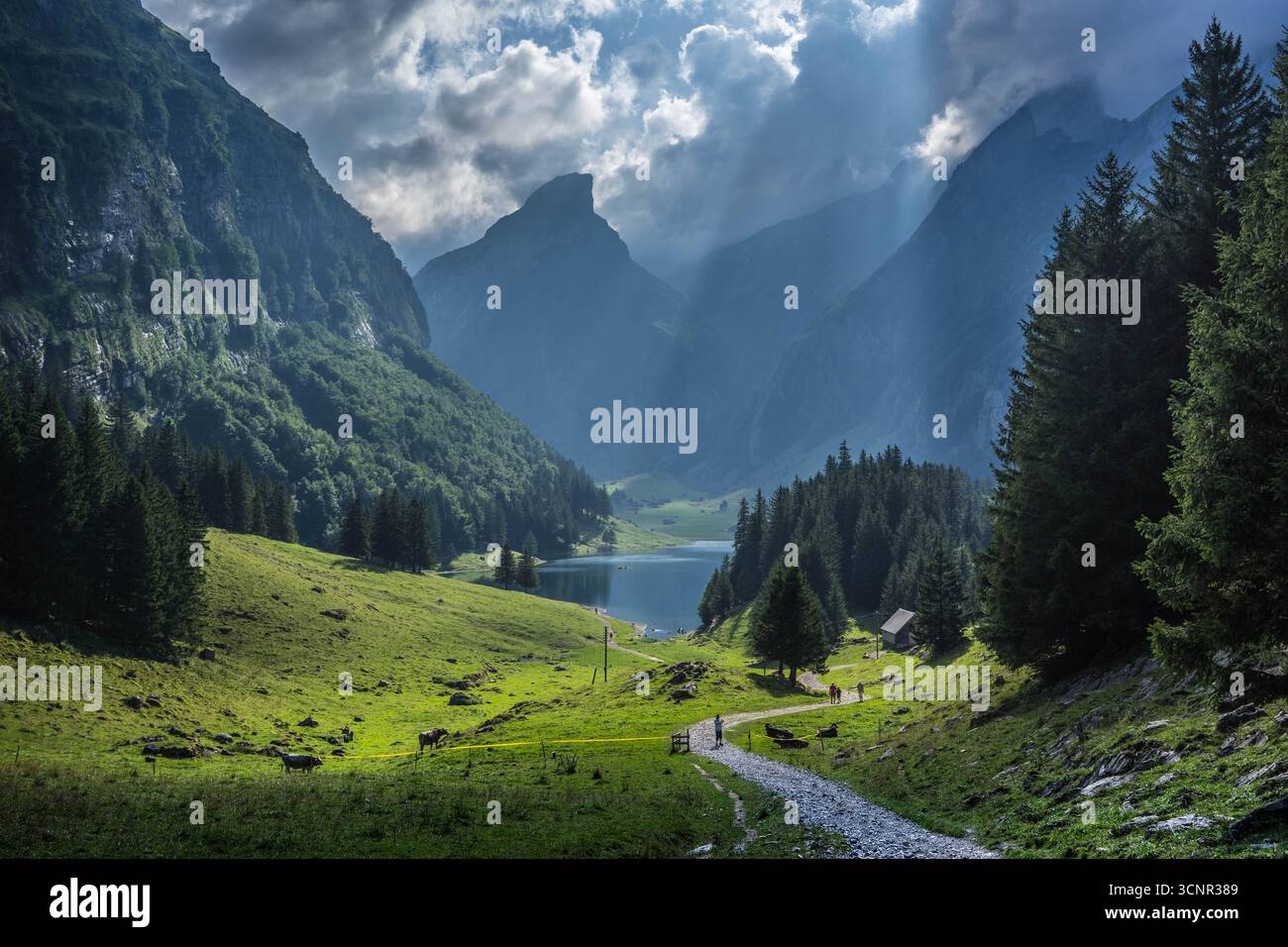 Dramatic landscape green valley hi-res stock photography and images - Alamy