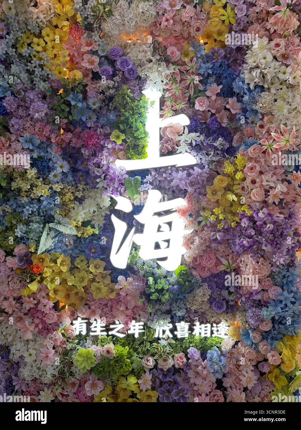 Colorful flower wall in Shanghai with illuminated Chinese characters ...