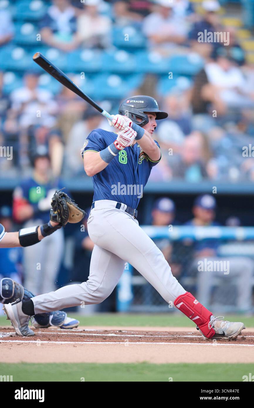 Hub City Spartanburgers Dylan Dreiling (8) at bat during a game against ...