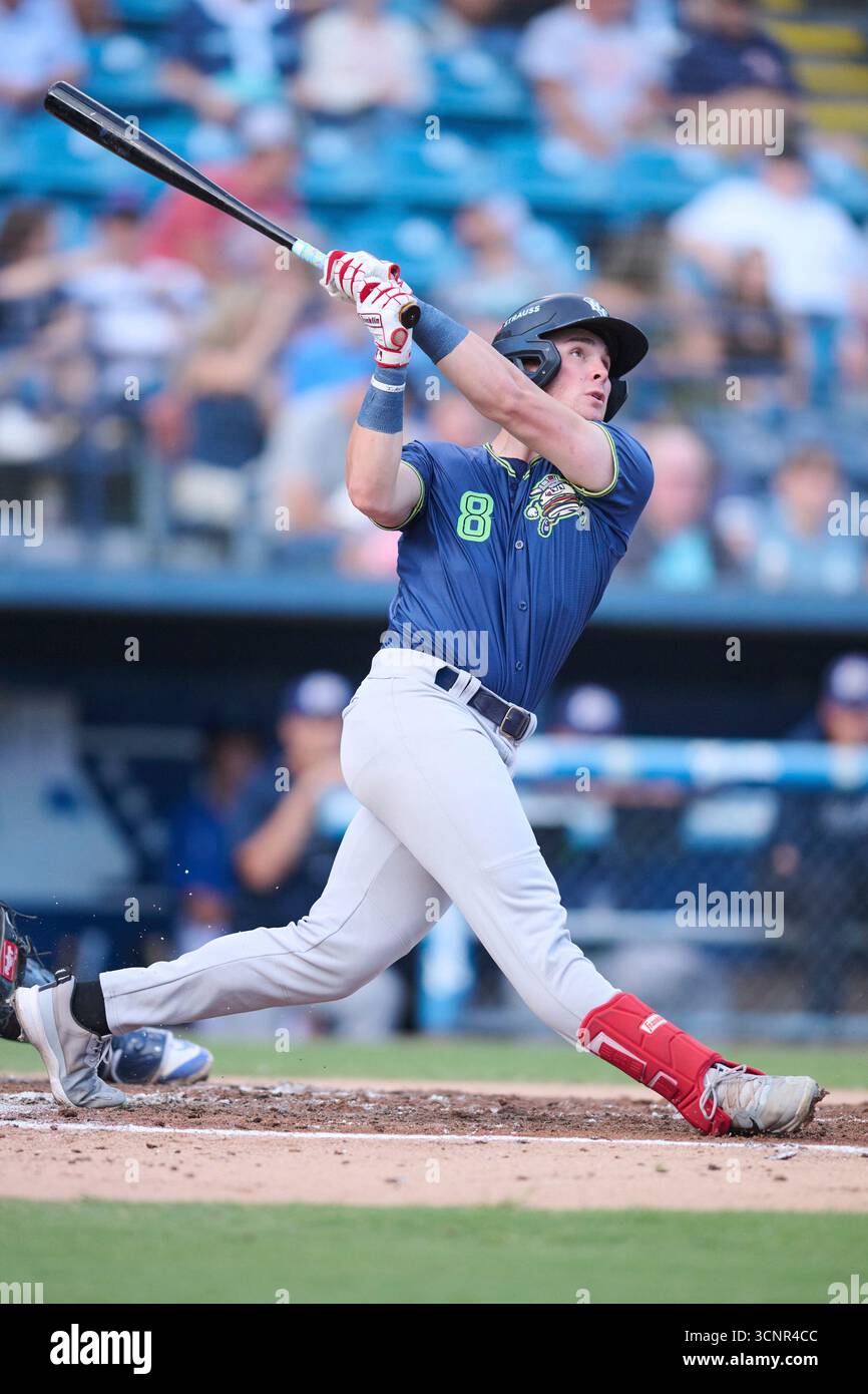 Hub City Spartanburgers Dylan Dreiling (8) at bat during a game against ...