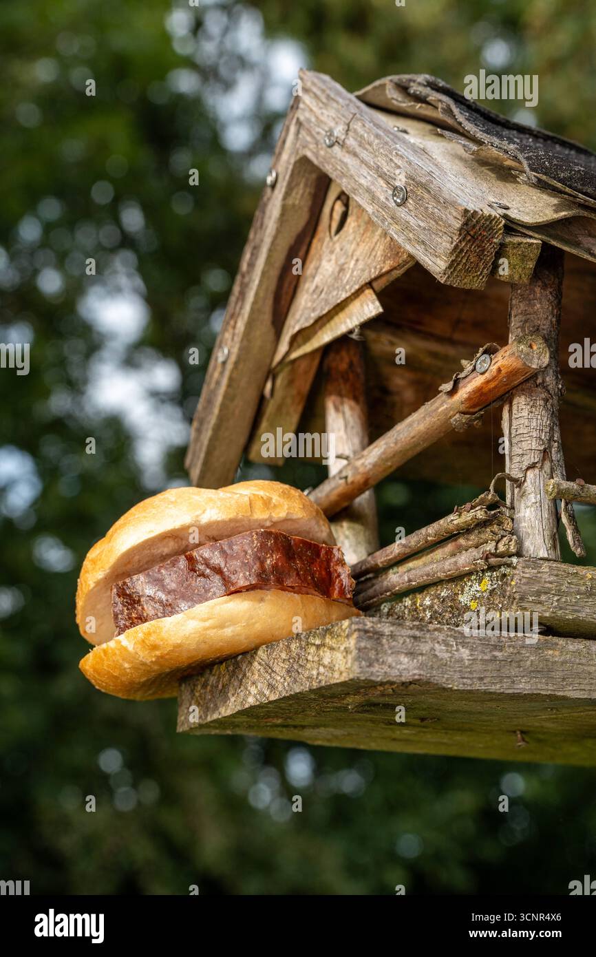 Bavaria, Germany - September 17, 2025: Scurrilous picture, A Bavarian ...