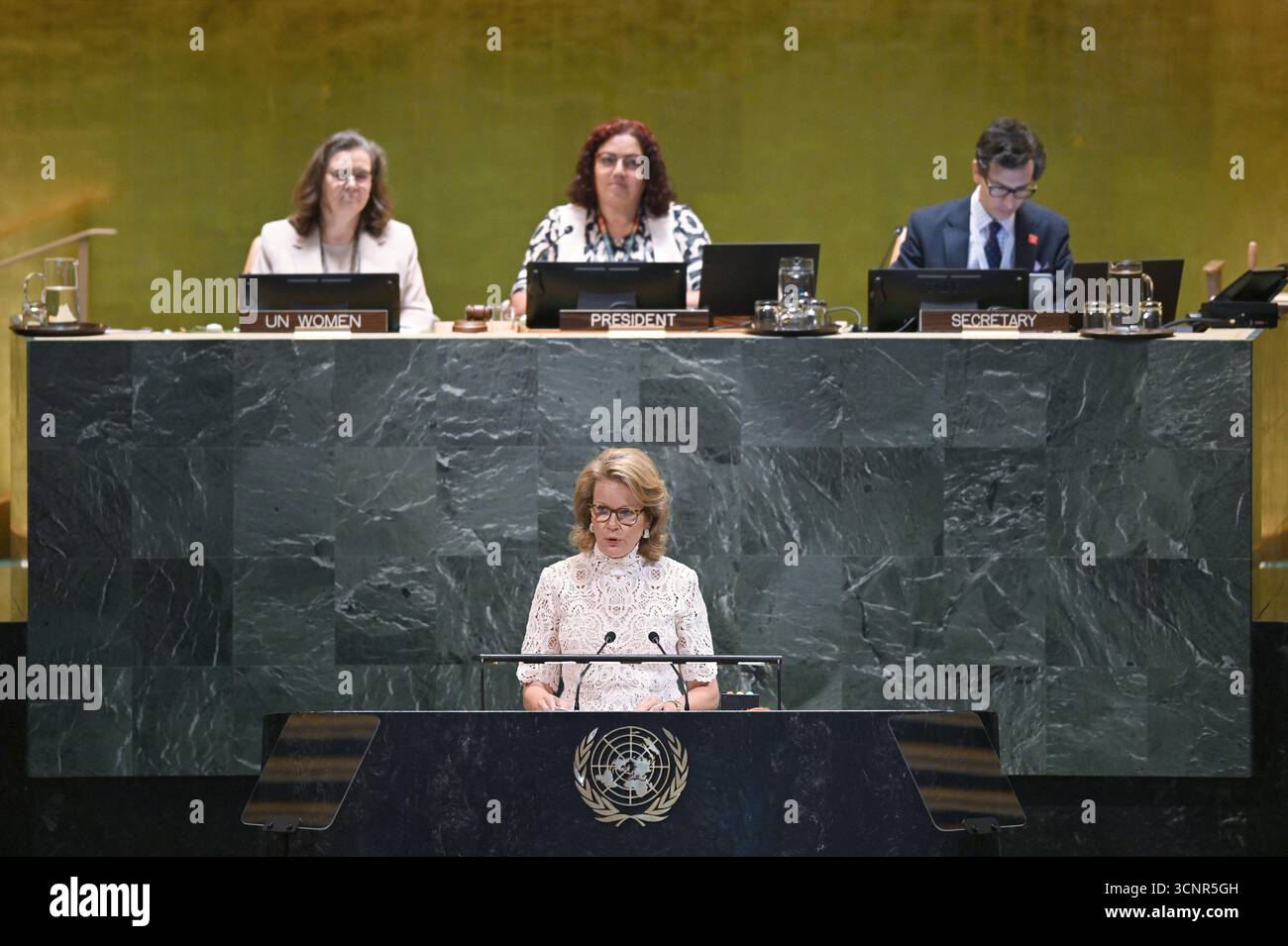 Queen Mathilde of Belgium speaks at the United Nations General Assembly ...