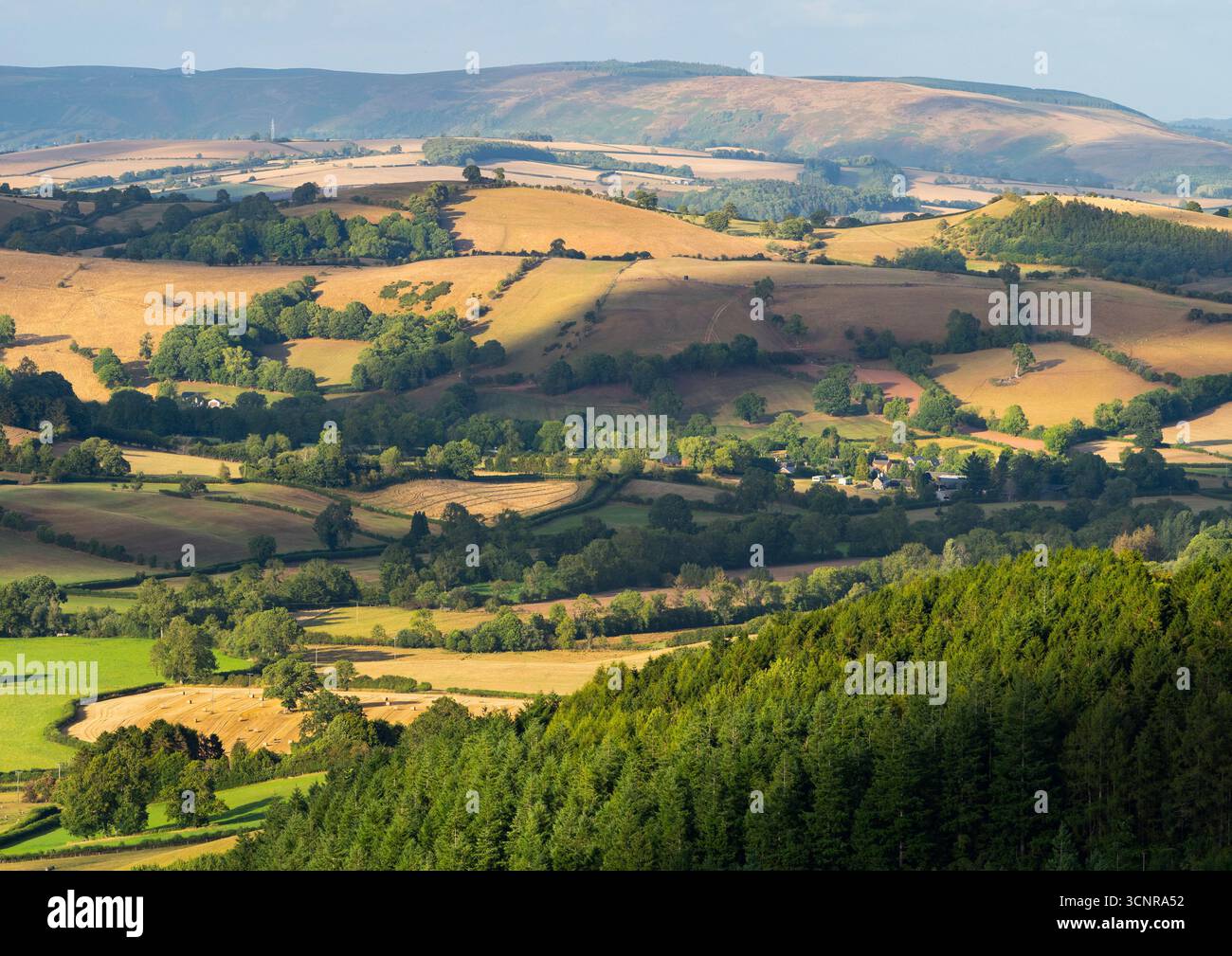 Evening in the Clun Valley near Newcastle on Clun, with Oakeley Mynd ...