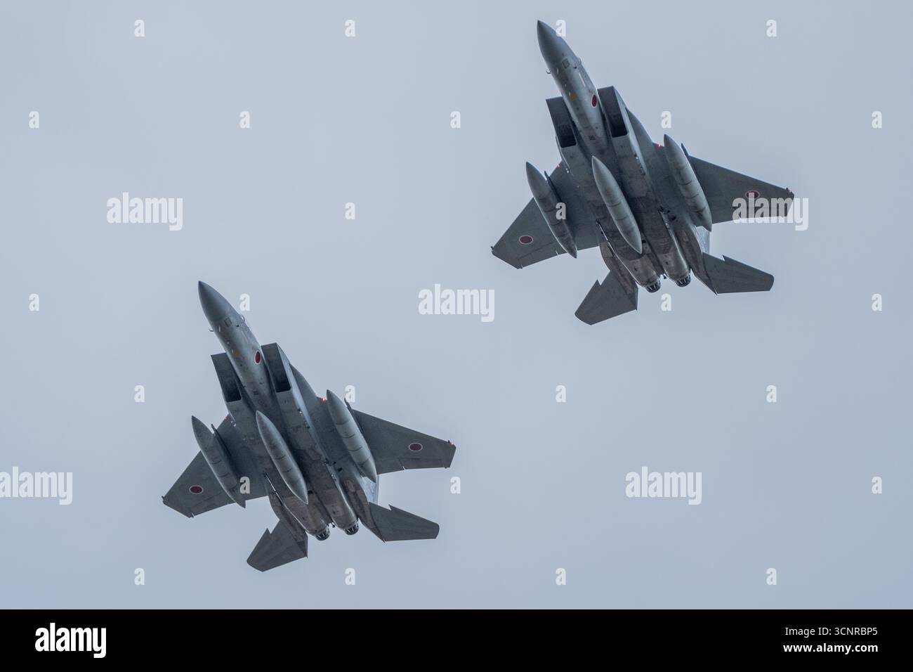 The Japan Air Self-Defense Force McDonnell Douglas F-15’s lands as ...