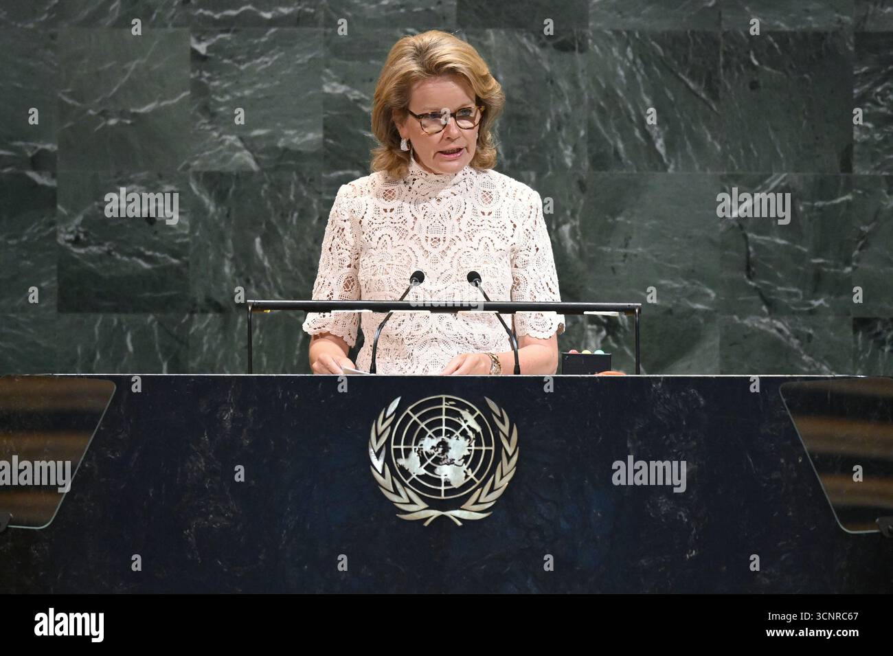Queen Mathilde of Belgium speaks at the United Nations General Assembly ...