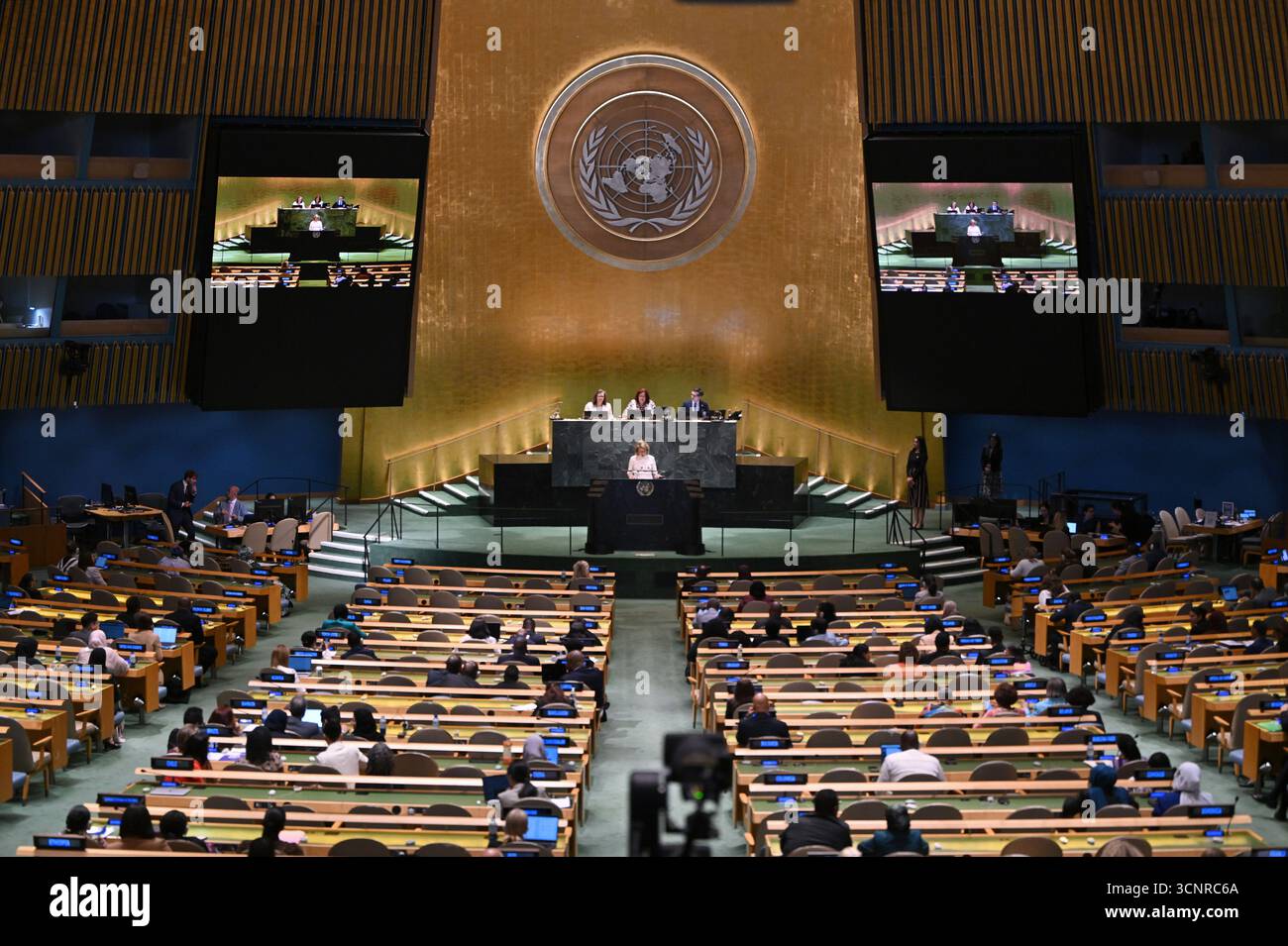 Queen Mathilde of Belgium speaks at the United Nations General Assembly ...