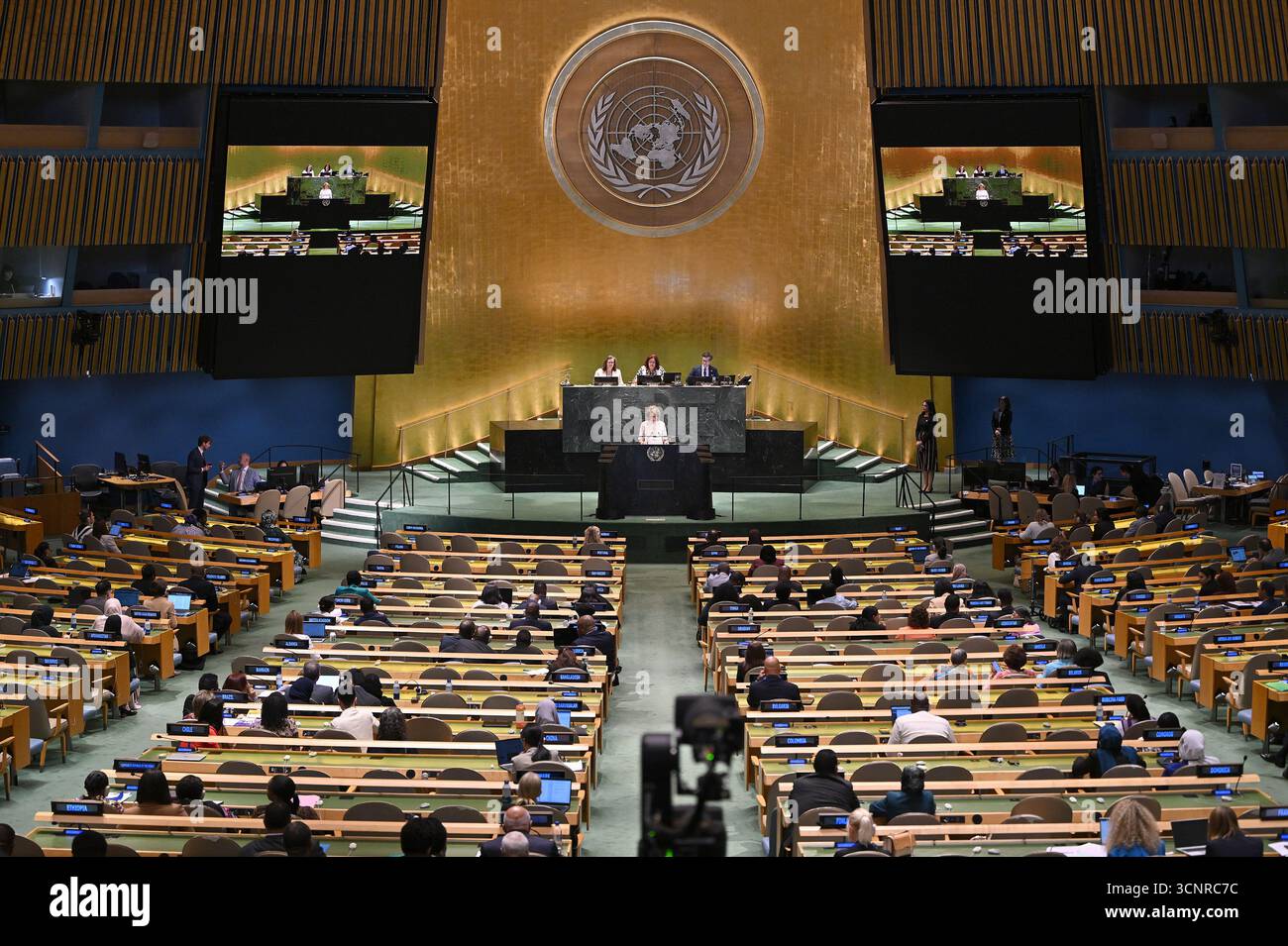 Queen Mathilde of Belgium speaks at the United Nations General Assembly ...