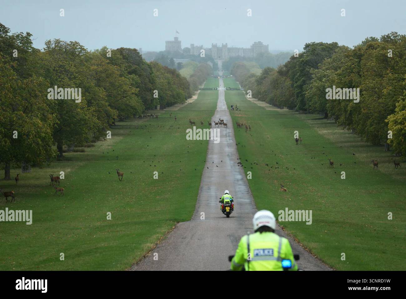 Trump state visit 2025 hi-res stock photography and images - Alamy