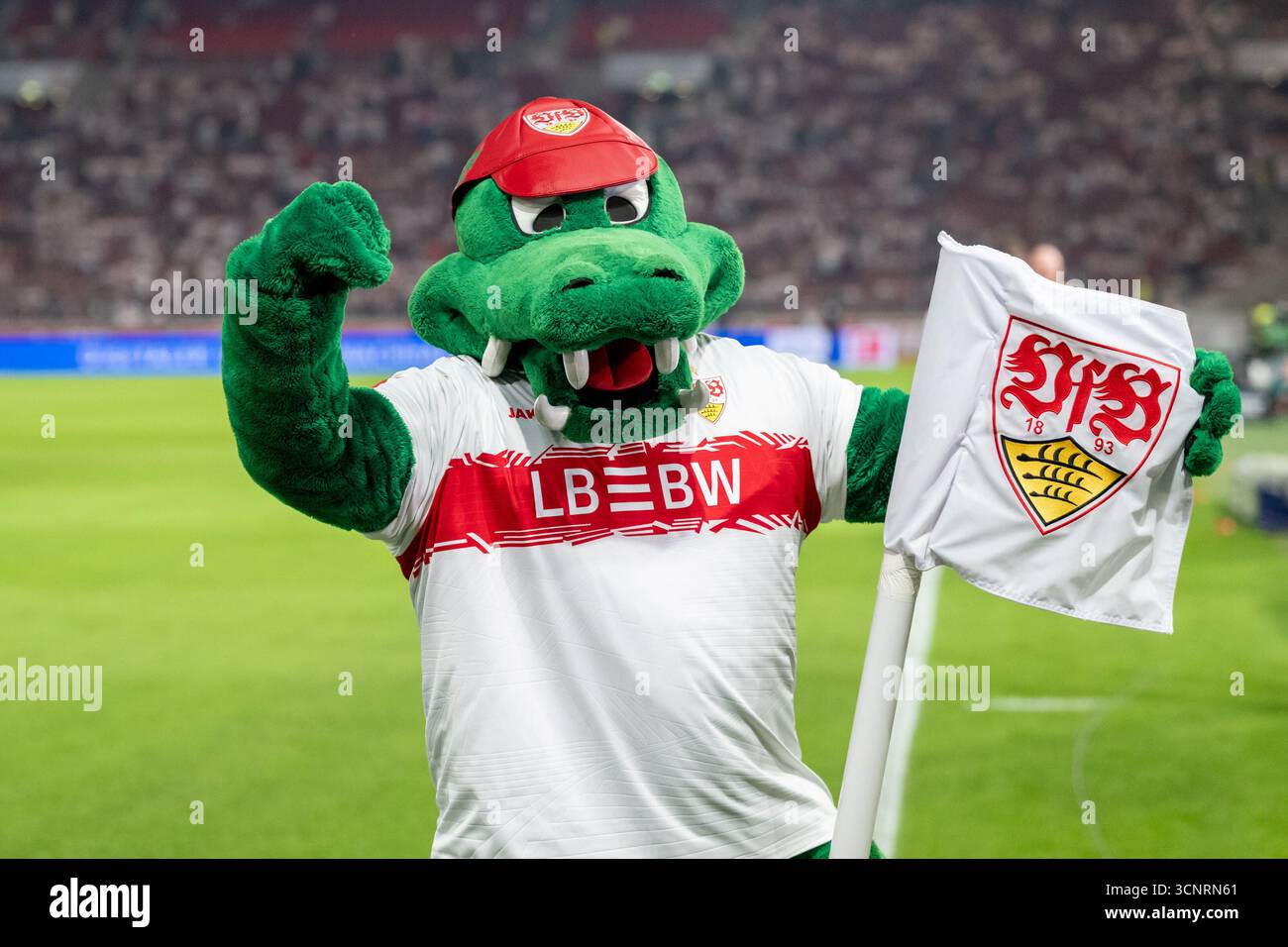 Fritzle (VfB Stuttgart, Maskottchen) GER, VfB Stuttgart vs. FC St ...