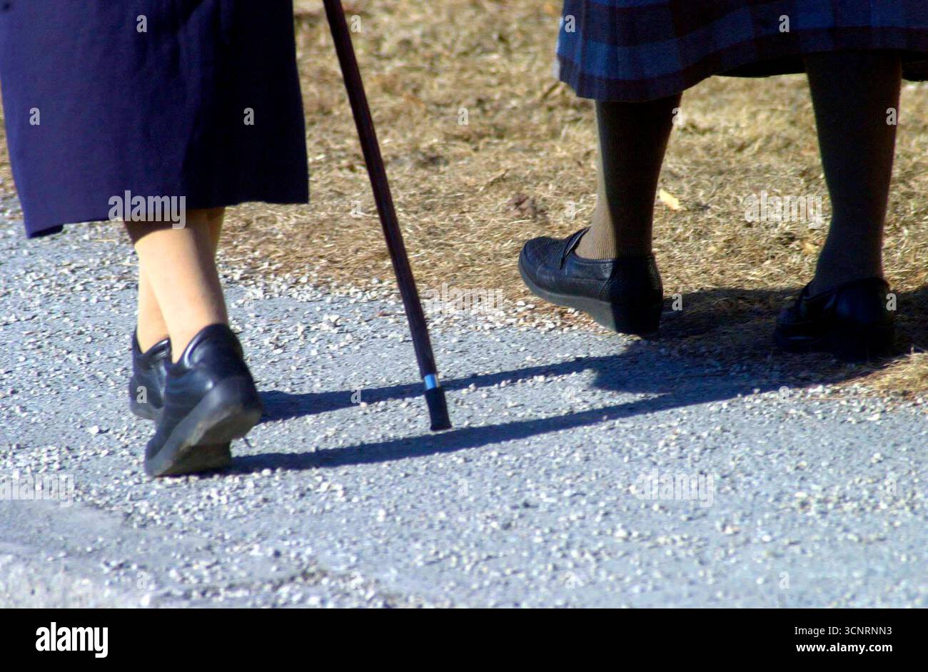 Senior woman with a walking stick, walking aid for mobility Senior ...