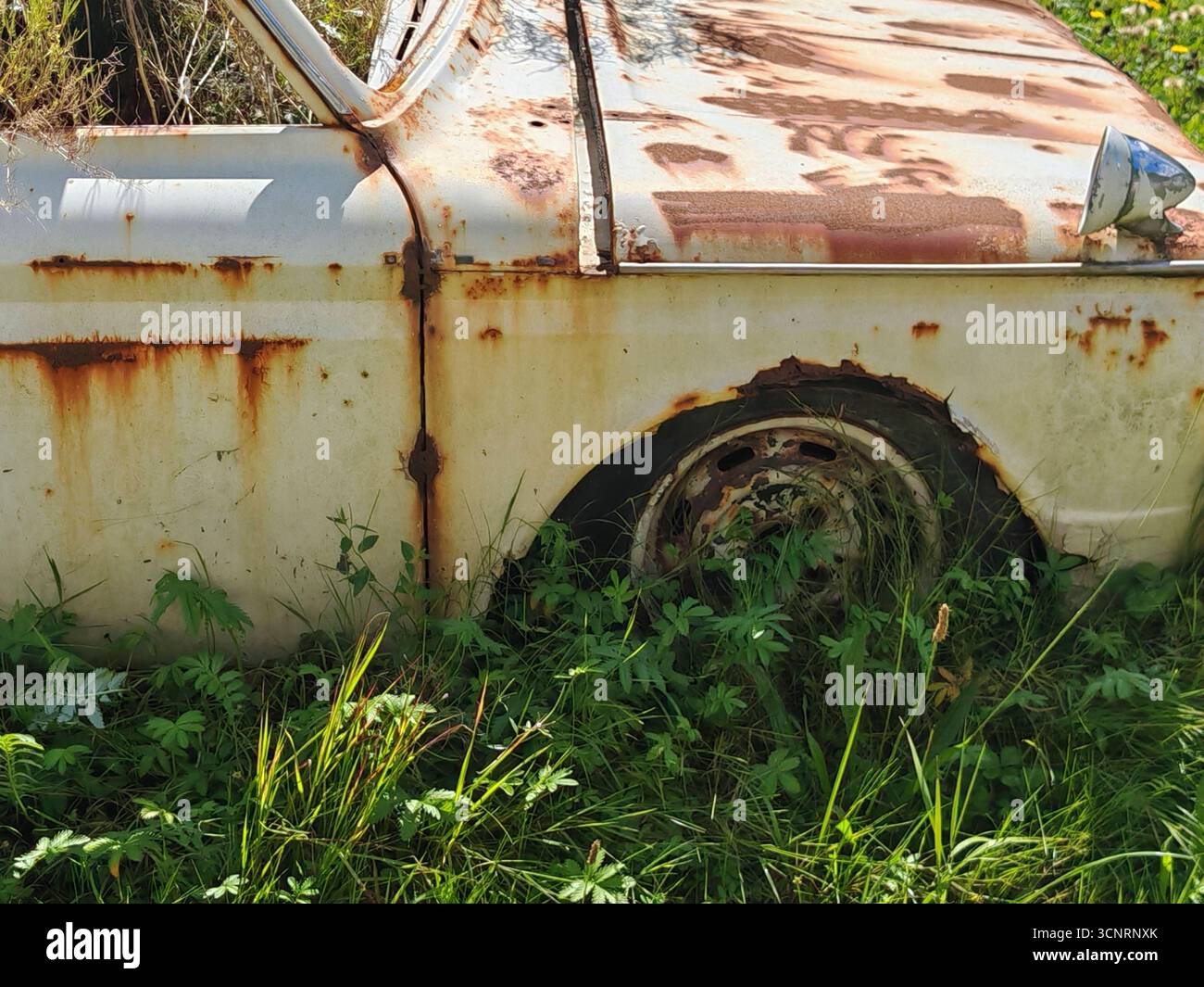 rust on the vehicle body, corrosion spots on the car rust on the ...