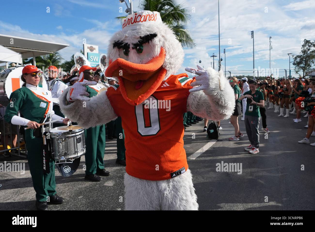 Miami mascot Sebastian the Ibis performs before an NCAA college ...