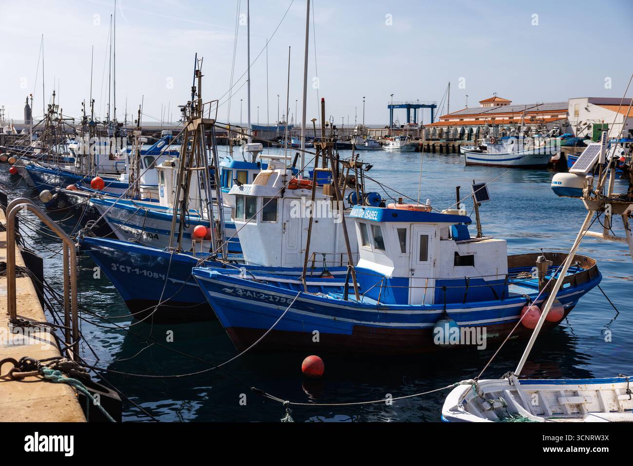 21 September 2025, Spain, Tarifa: Numerous fishing boats are moored at ...