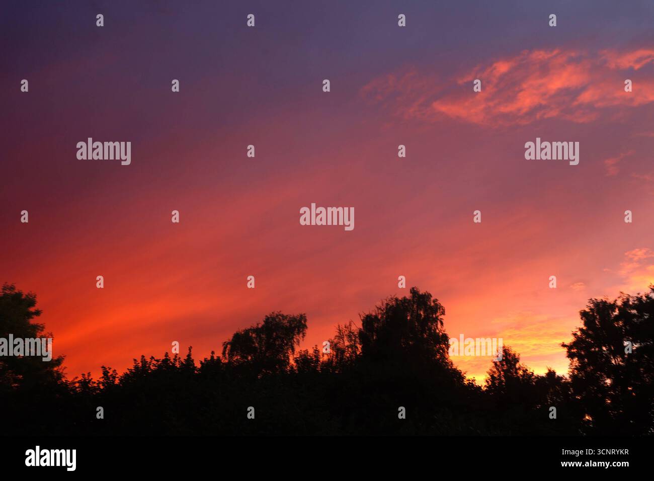 Sonnige und milde Wetterlage Ein roter, kräftig leuchtender ...
