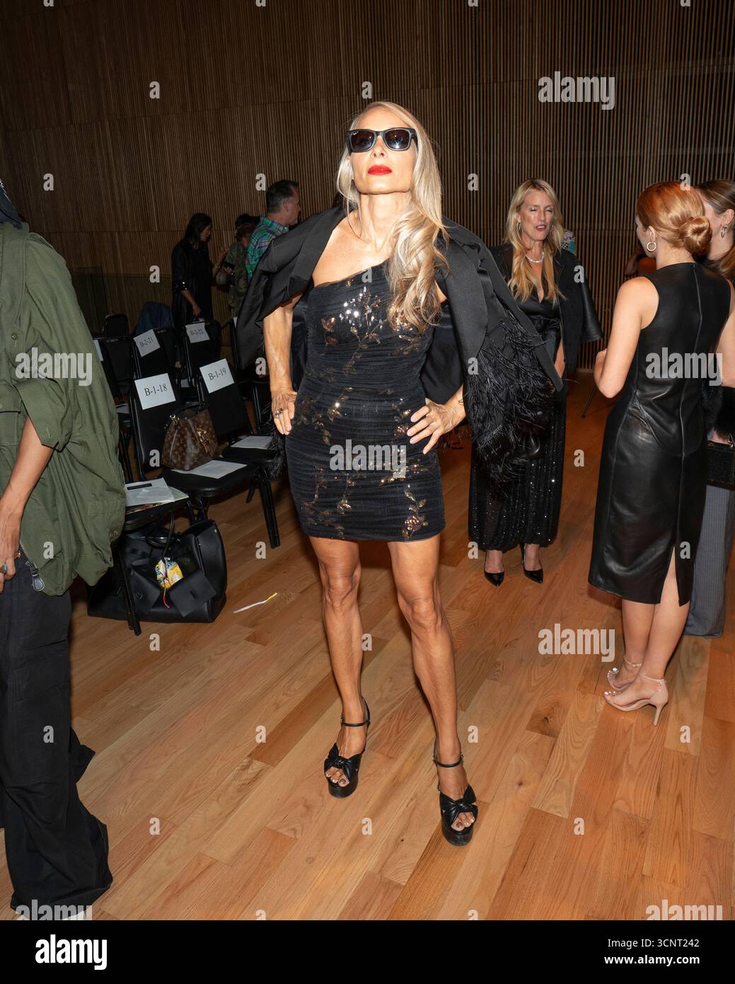 Indira Cesarine at Frederick Anderson's NYFW SS26 Front Row at The ...