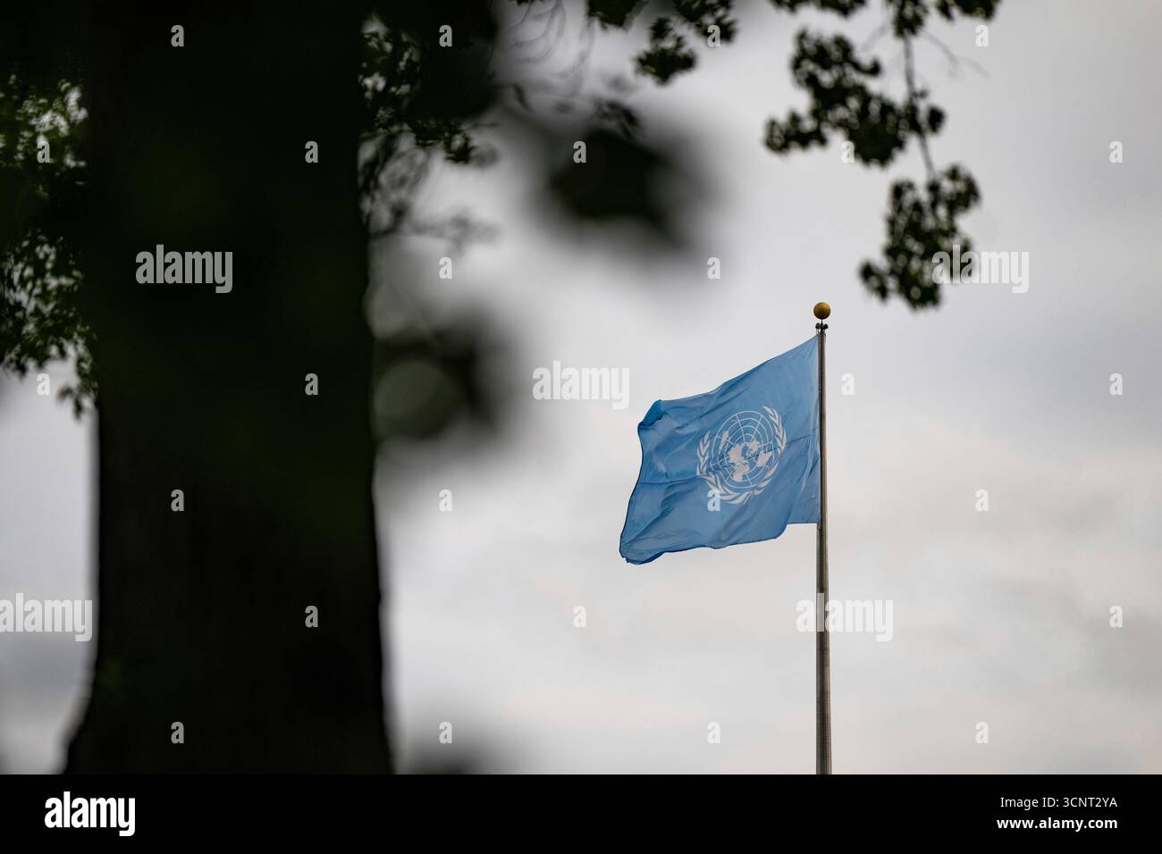 The United Nations flag flies outside the U.N. Headquarters on the ...