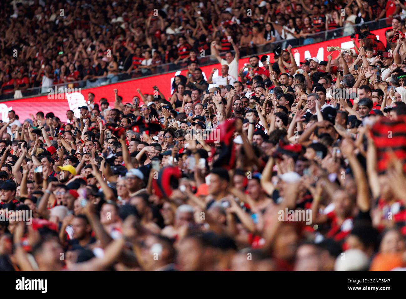 Rio de Janeiro, Brazil - September 21: Flamengo supporters having fun ...