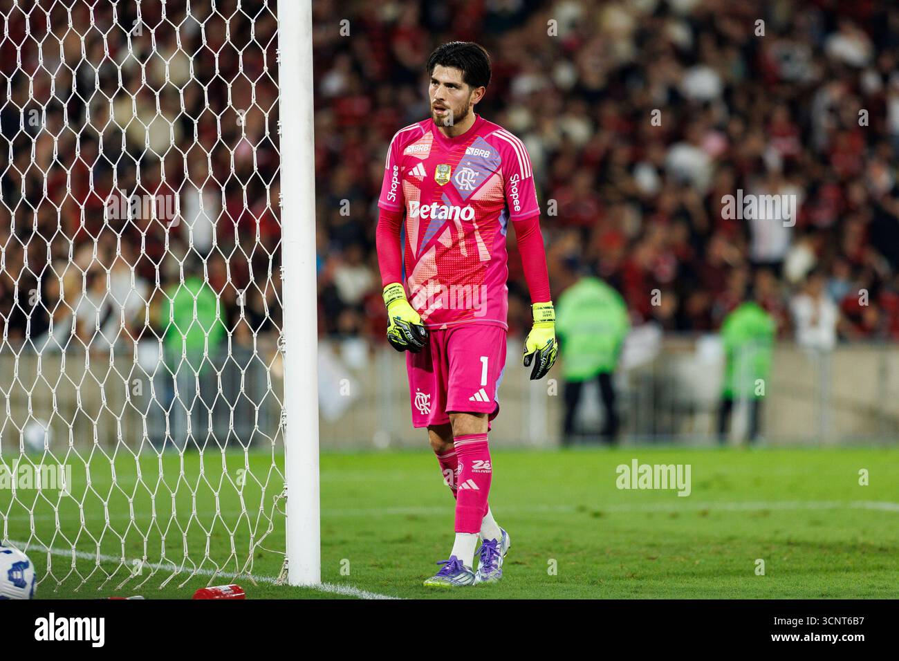 Rio de Janeiro, Brazil - September 21: Goalkeeper Agustin Rossi of CR ...