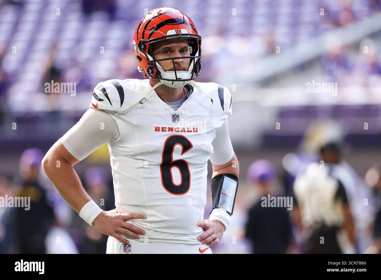 Cincinnati Bengals quarterback Jake Browning looks on before an NFL ...