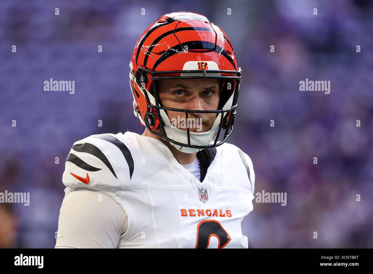 Cincinnati Bengals quarterback Jake Browning looks on before an NFL ...