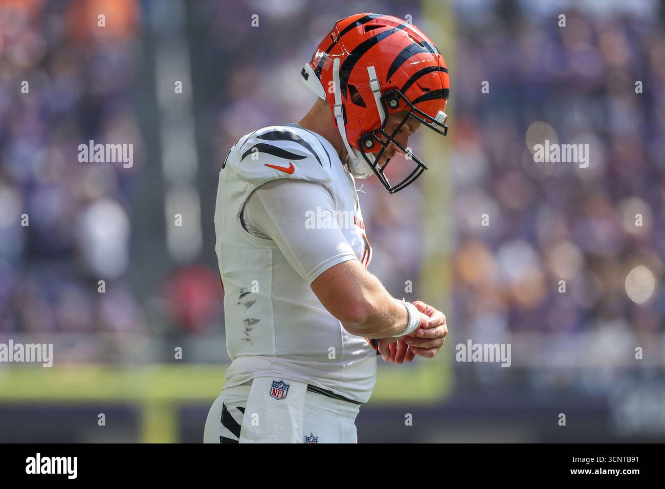Cincinnati Bengals quarterback Jake Browning (6) looks on during the ...