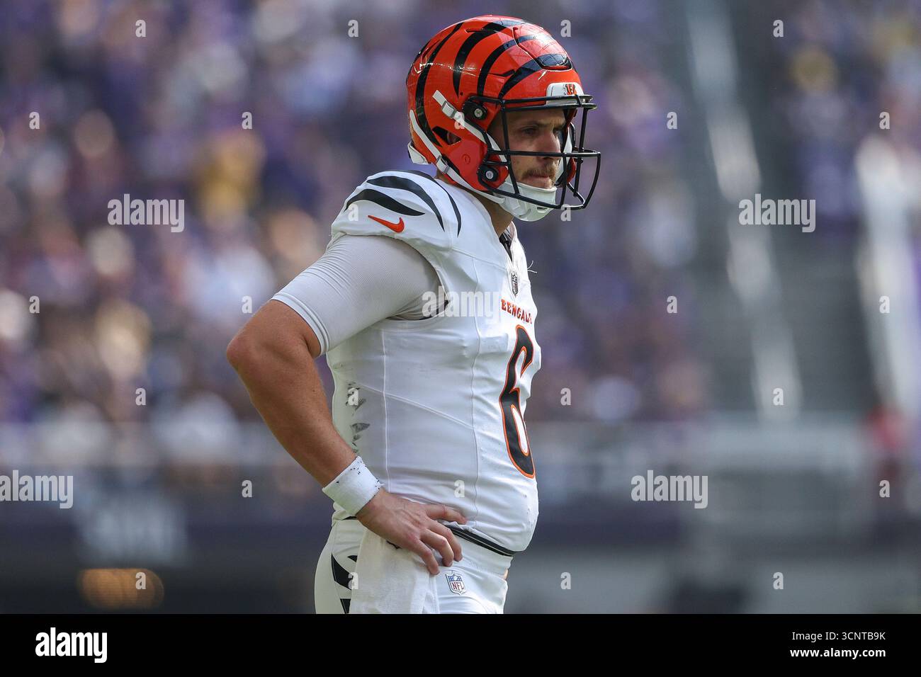 Cincinnati Bengals quarterback Jake Browning (6) looks on during the ...