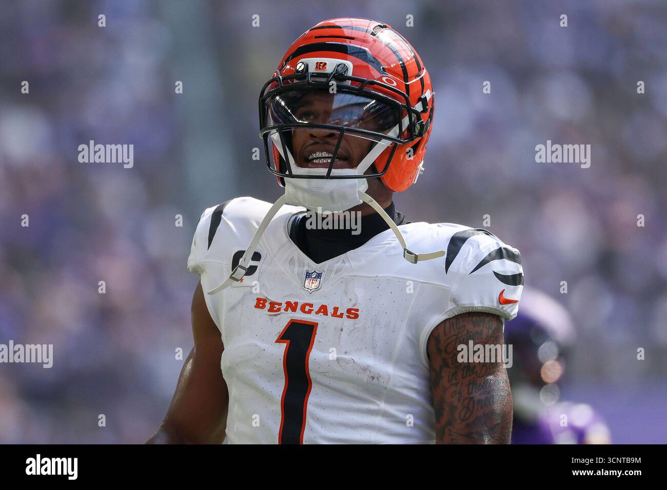 Cincinnati Bengals wide receiver Ja'Marr Chase (1) looks on during the ...