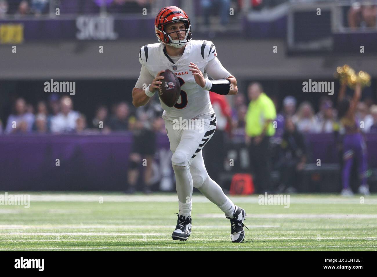 Cincinnati Bengals quarterback Jake Browning (6) looks to throw against ...