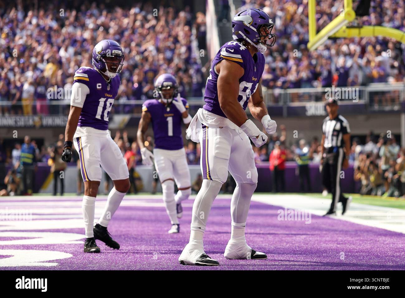 Minnesota Vikings tight end Josh Oliver (84) celebrates a touchdown ...