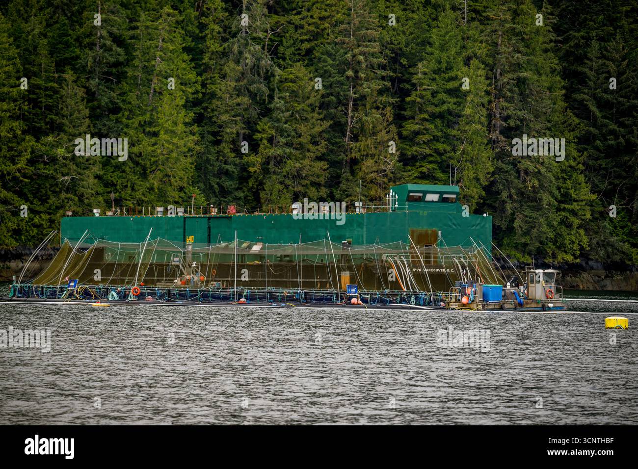 Salmon farms raising Atlantic salmon near the Fjordland Conservancy in ...