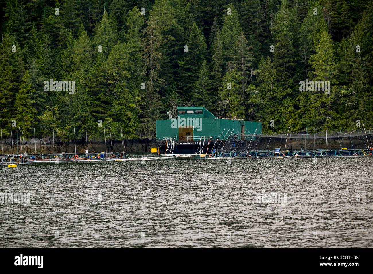 Salmon farms raising Atlantic salmon near the Fjordland Conservancy in ...