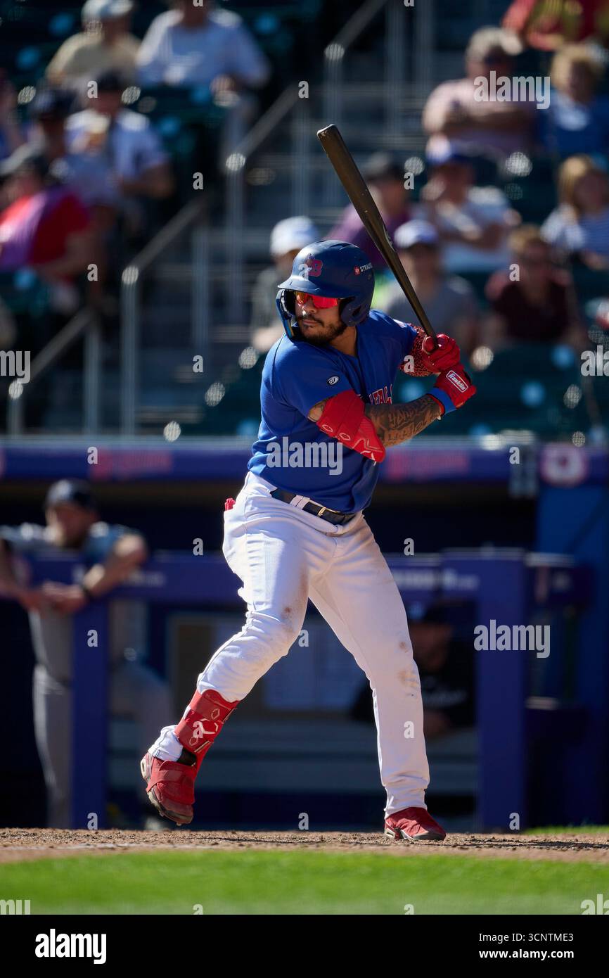 Buffalo Bisons Yohendrick Pinango (27) bats during an MiLB ...