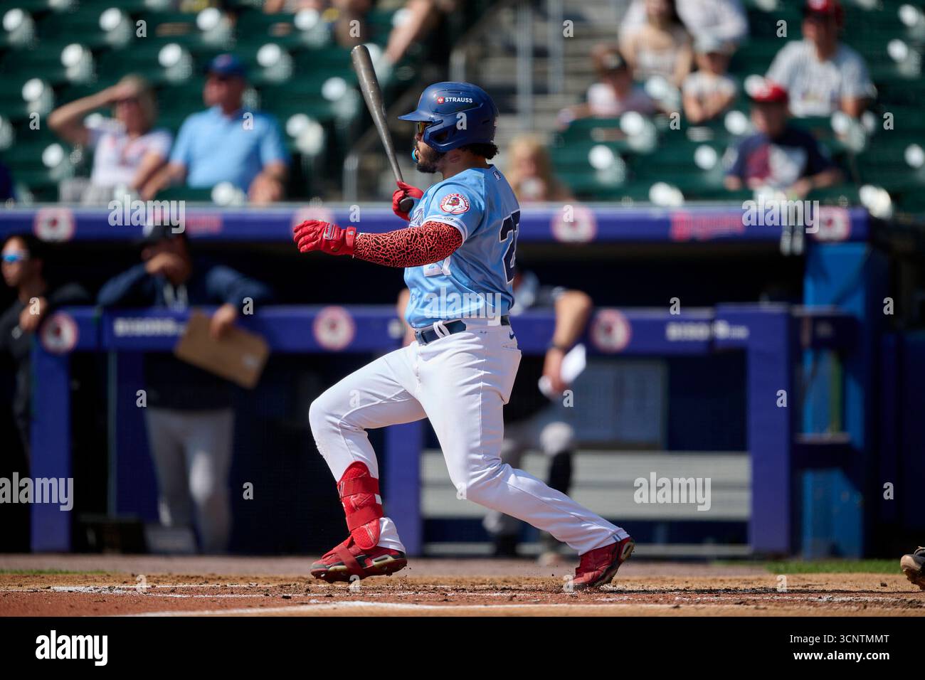 Buffalo Bisons Yohendrick Pinango (27) bats during an MiLB ...