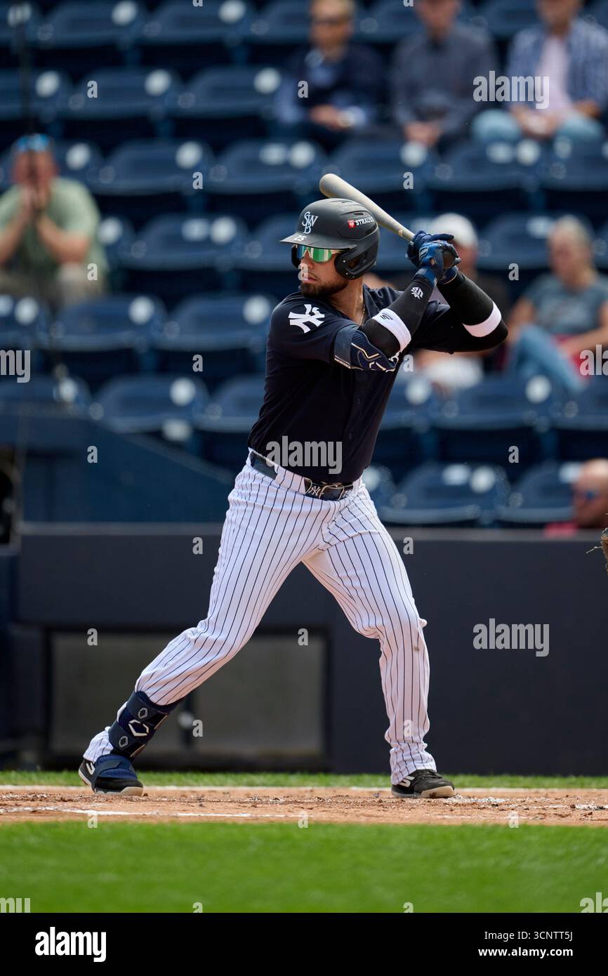 Scranton/Wilkes-Barre RailRiders J.C. Escarra (25) bats during an MiLB ...