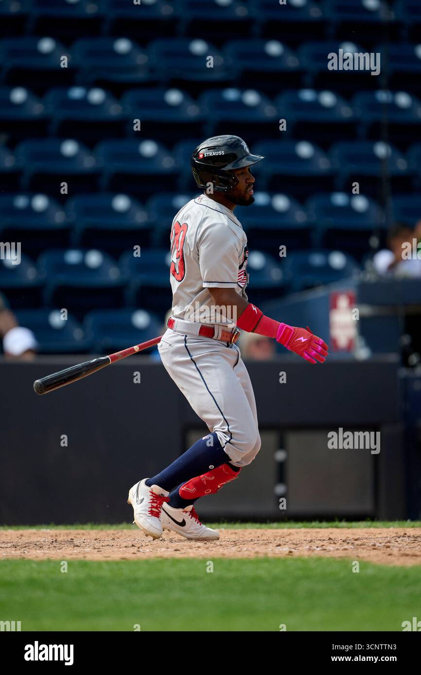Lehigh Valley IronPigs Rodolfo Castro (29) bats during an MiLB ...