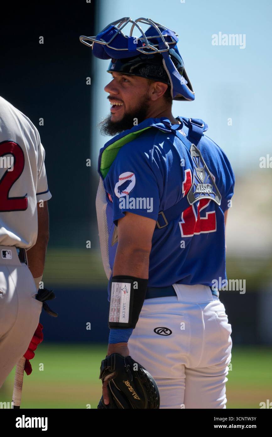 Buffalo Bisons catcher René Pinto (12) during an MiLB International ...