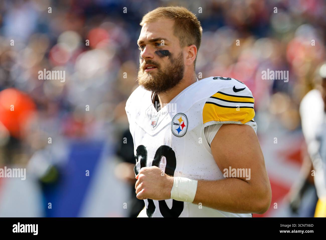 Pittsburgh Steelers tight end Pat Freiermuth (88) reacts during the ...