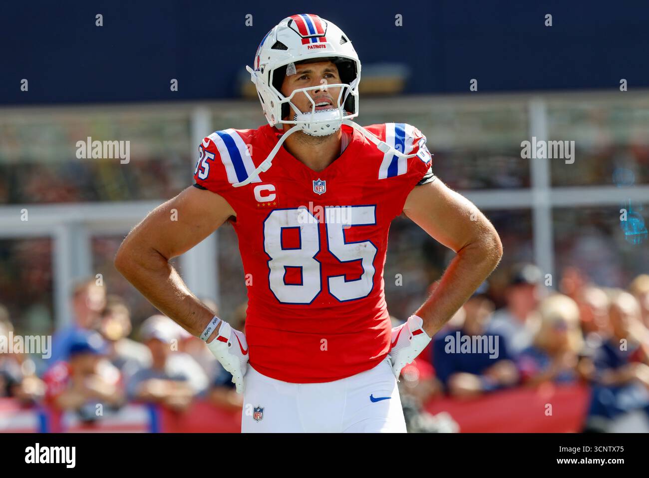 New England Patriots tight end Hunter Henry (85) reacts after goal line ...