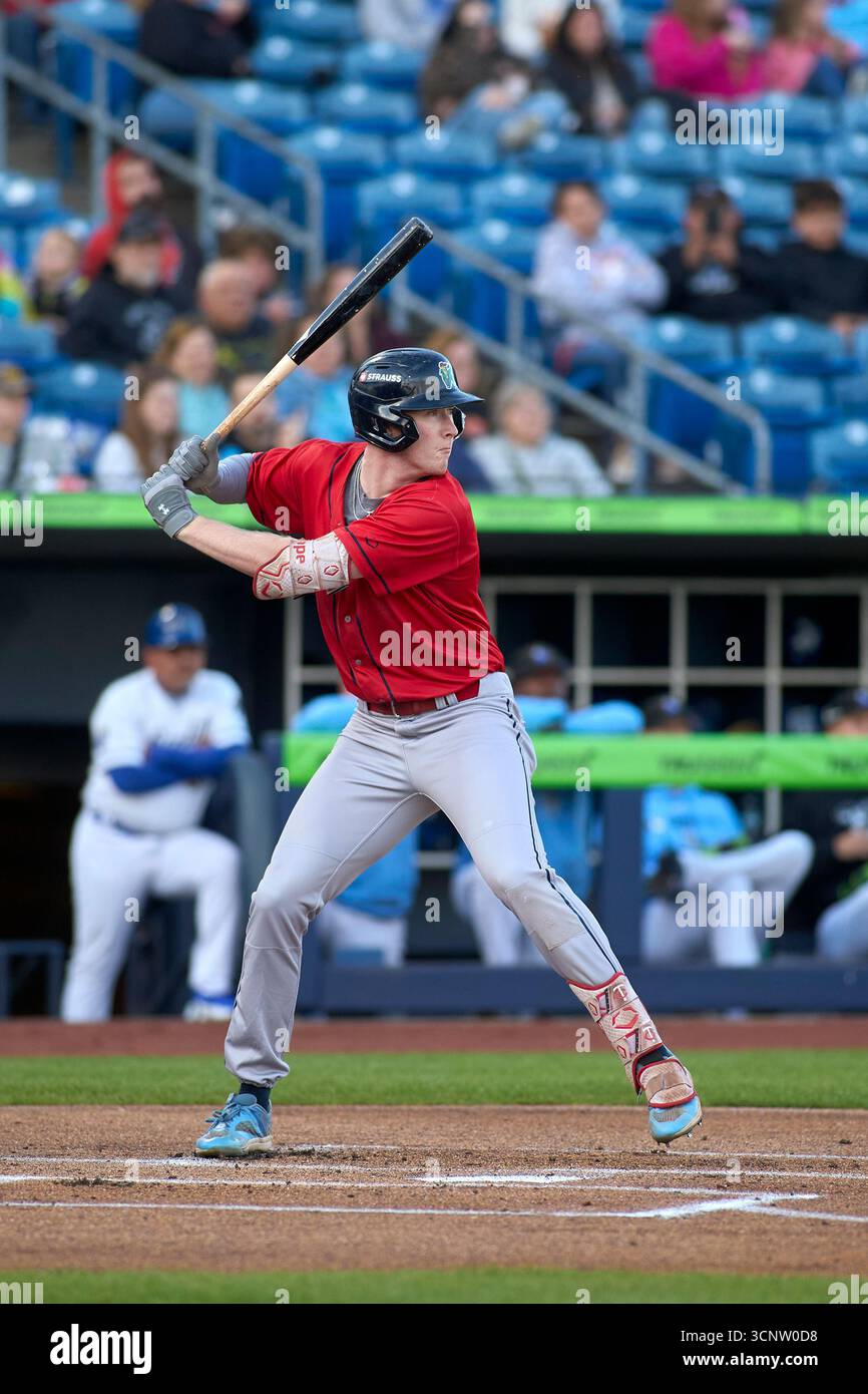 Cedar Rapids Kernels Brandon Winokur (20) bats during an MiLB Midwest ...