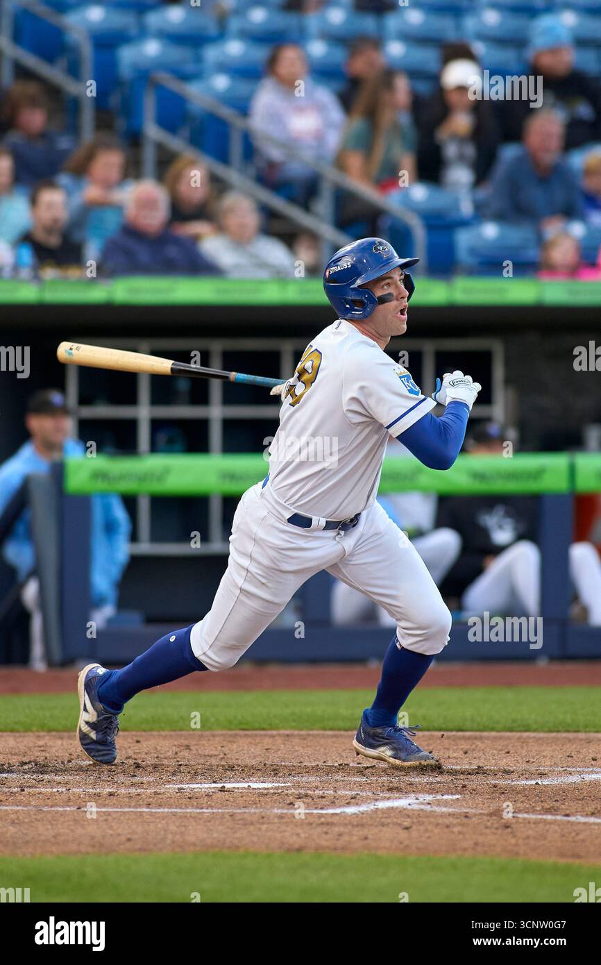 Quad Cities River Bandits Trevor Werner (28) bats during an MiLB ...