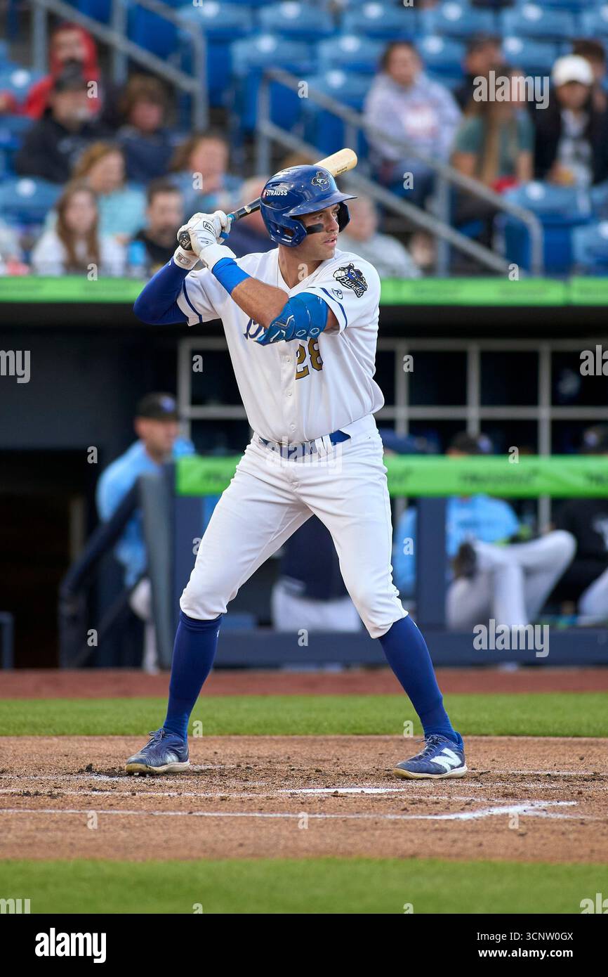 Quad Cities River Bandits Trevor Werner (28) bats during an MiLB ...