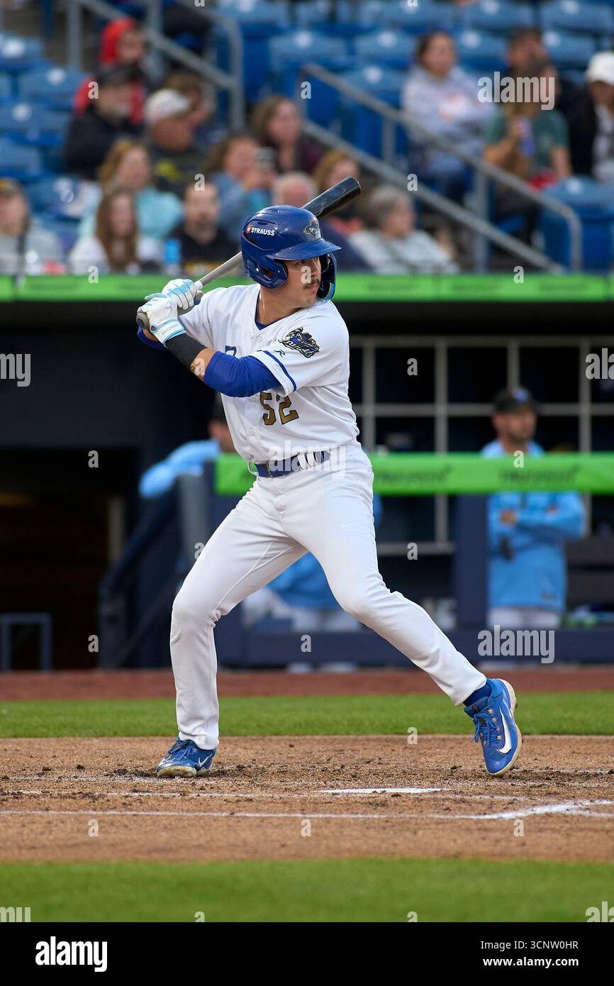 Quad Cities River Bandits Hunter Ensley (52) bats during an MiLB ...