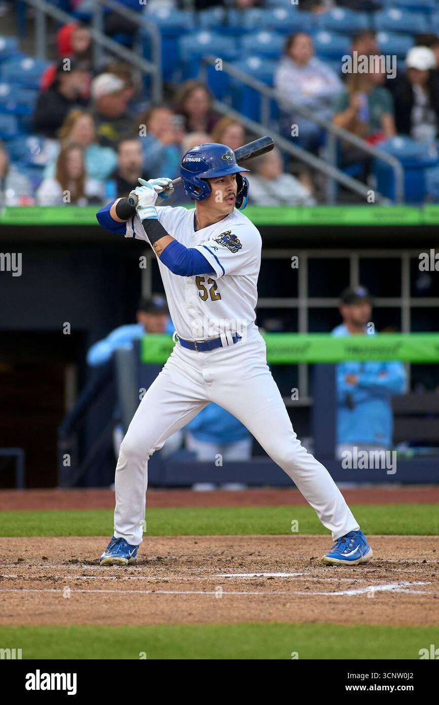 Quad Cities River Bandits Hunter Ensley (52) bats during an MiLB ...