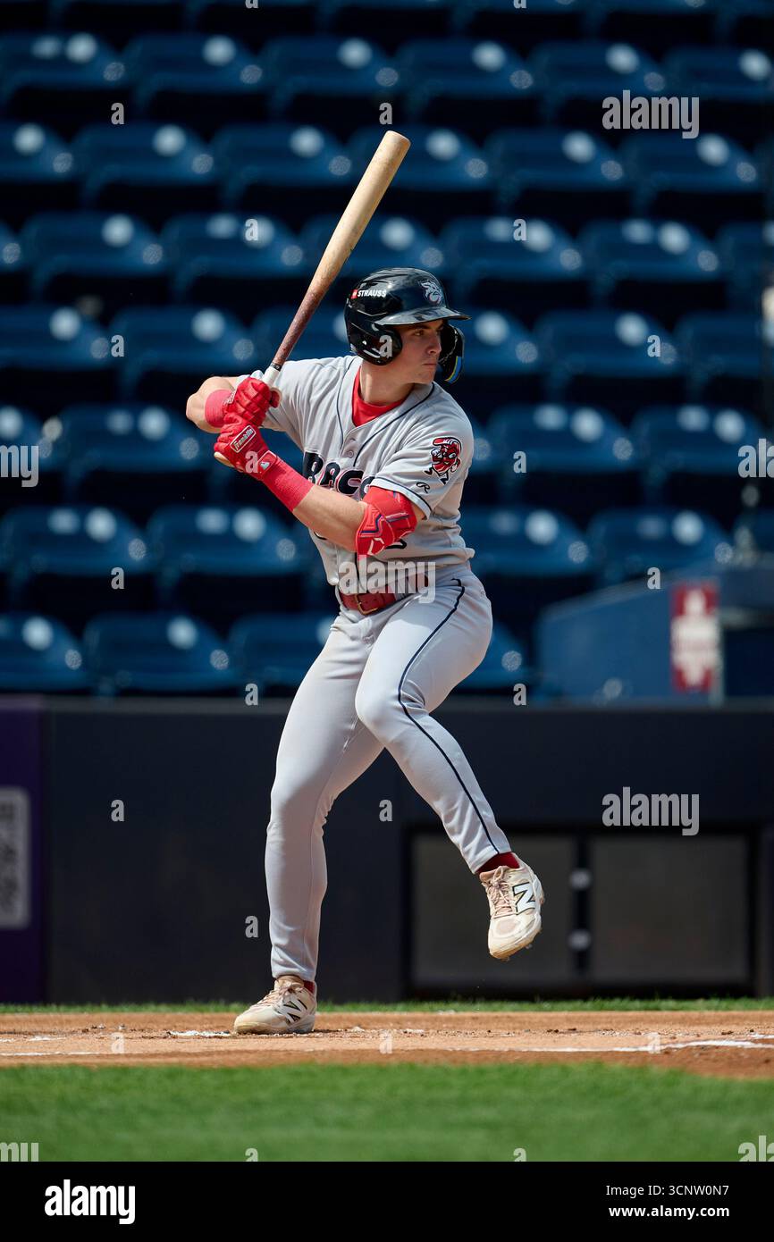 Lehigh Valley IronPigs Aidan Miller (4) bats during an MiLB ...