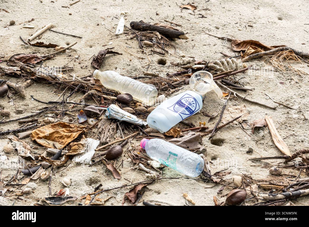 A view of natural debris and human litter on Klong Prao Beach, Koh ...