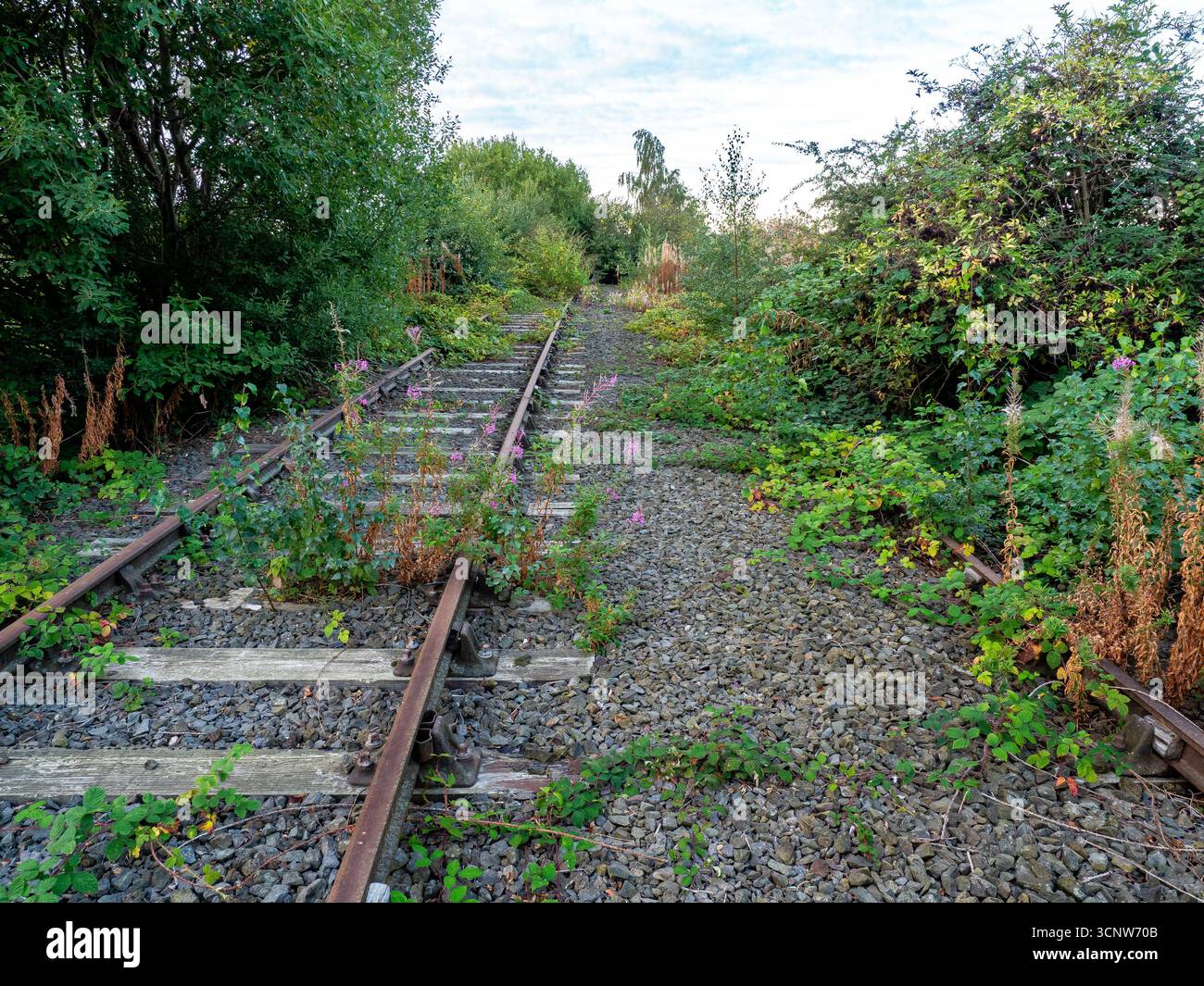 Disused railway line overgrown with vegetation and wild plants Stock ...