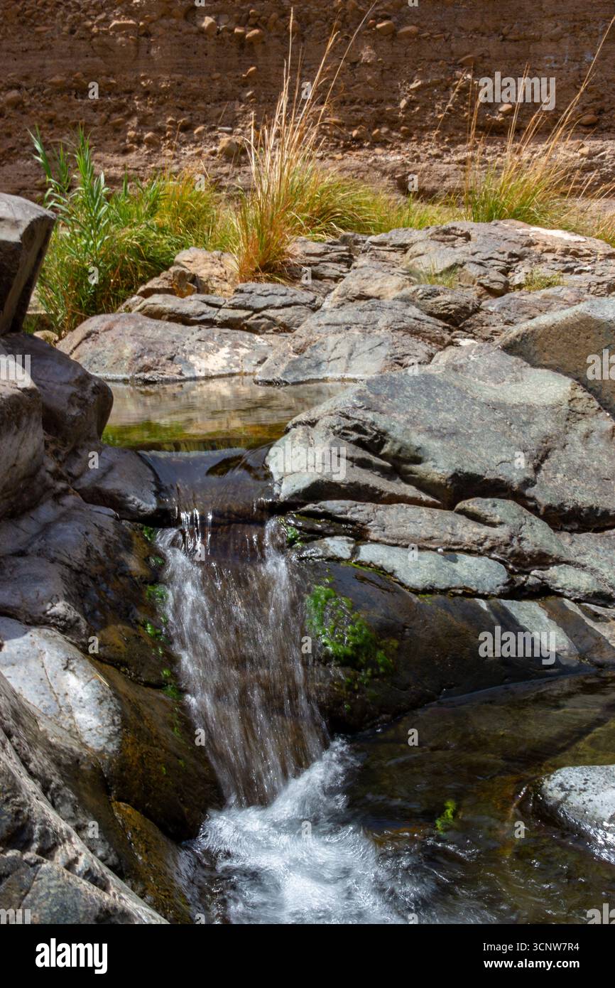 Water in the wadi hi-res stock photography and images - Alamy